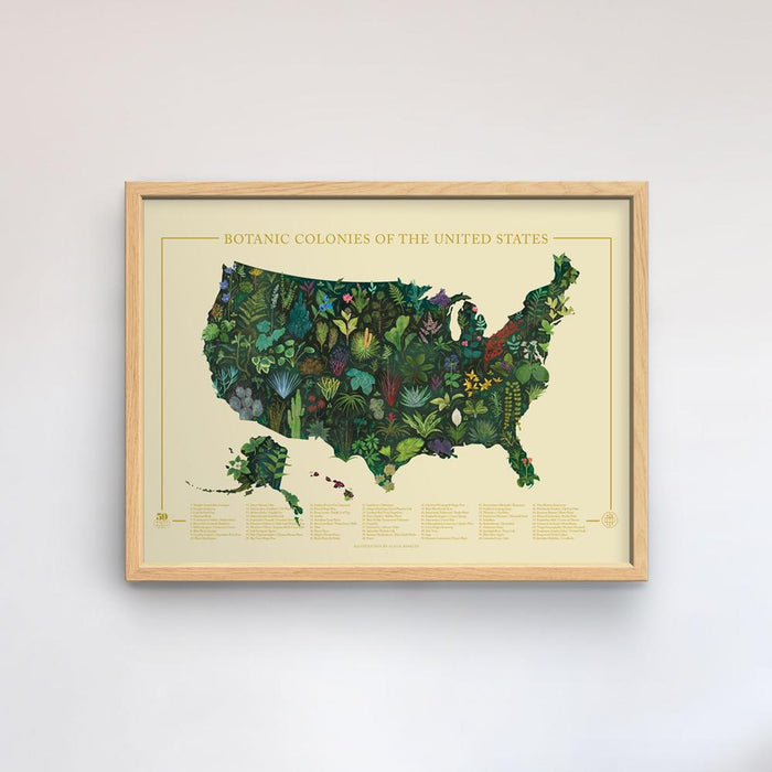 Native Botanicals - 50 States of Beauty