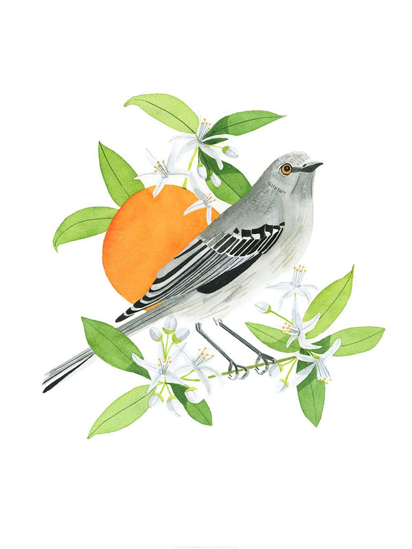 Florida Northern Mockingbird Print - 50 States of Beauty
