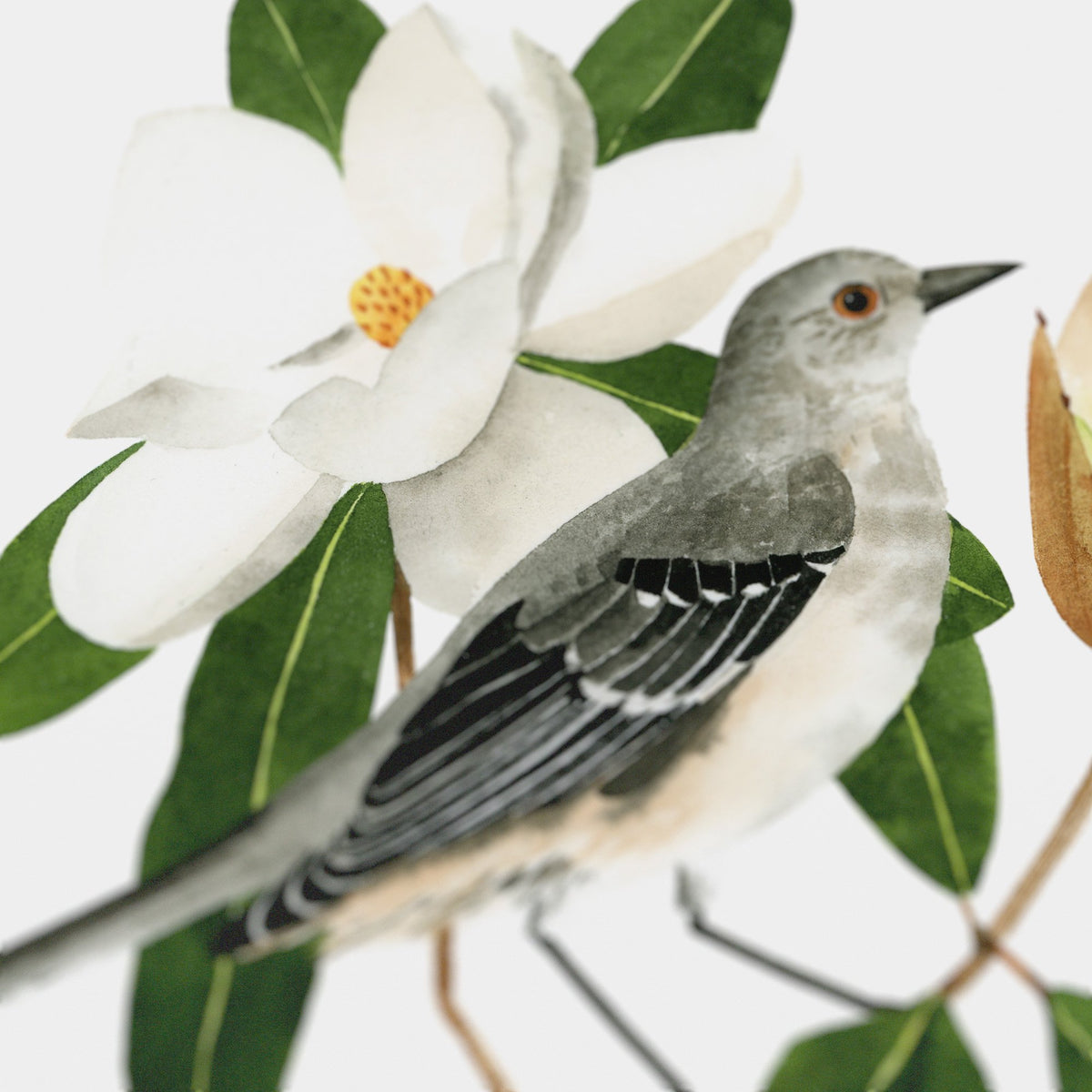 Mississippi Northern Mockingbird Print - 50 States of Beauty